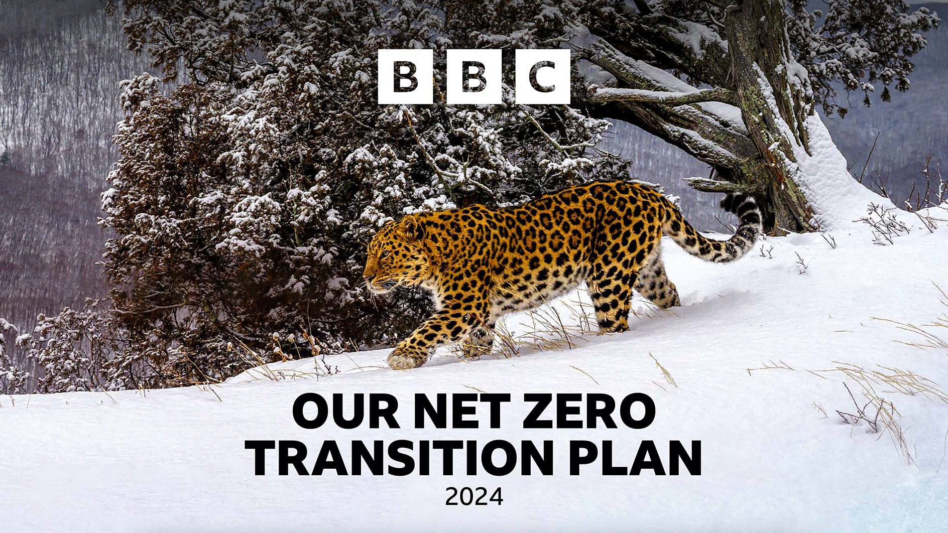 BBC publishes Net Zero Transition Plan - National Sustainability News