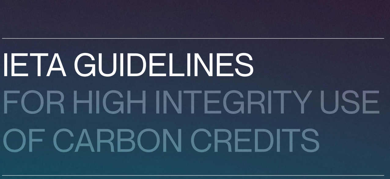 81% of largest companies have no net-zero targets - National ...