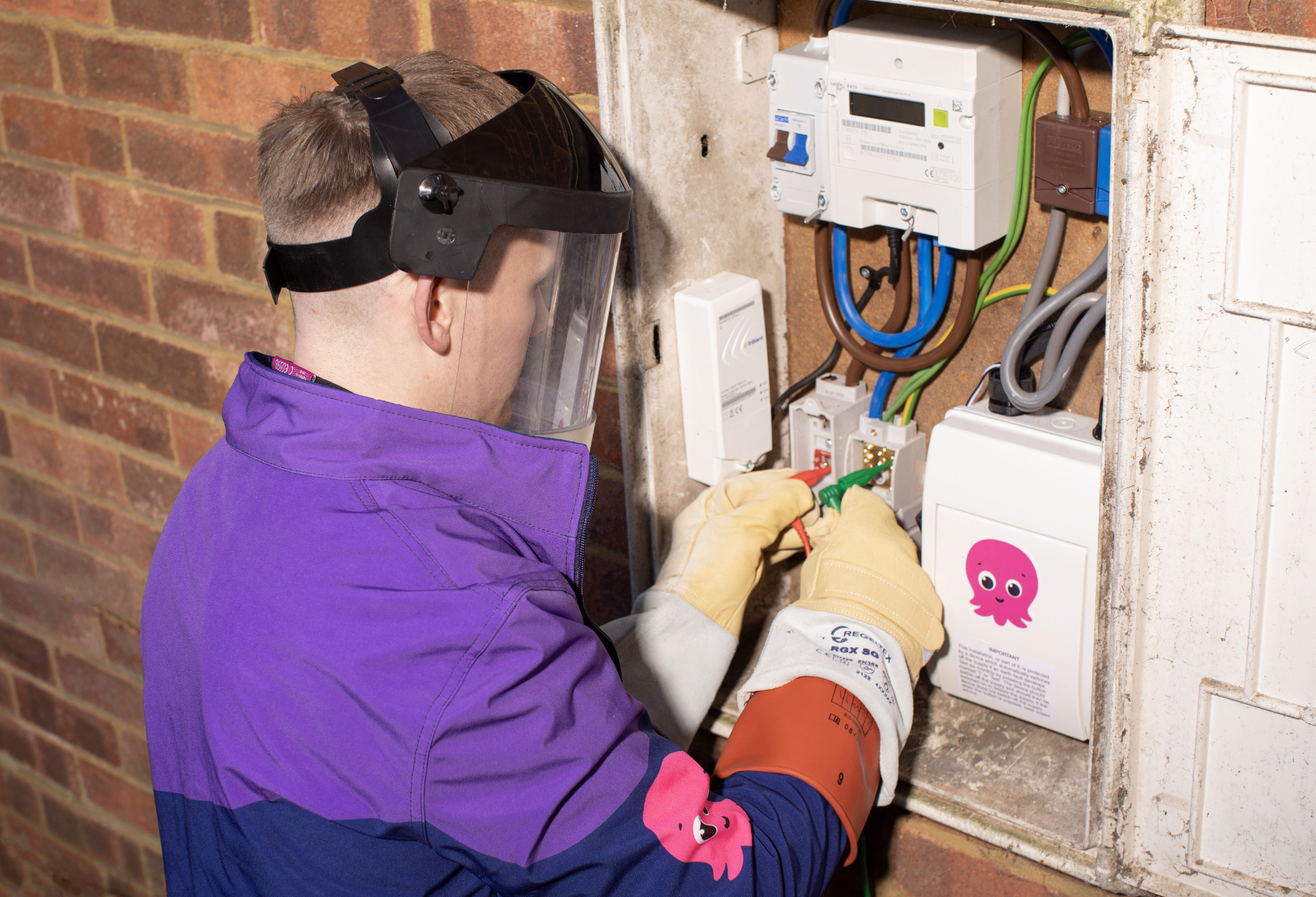 Octopus reaches 8 million customers in the UK - National Sustainability ...
